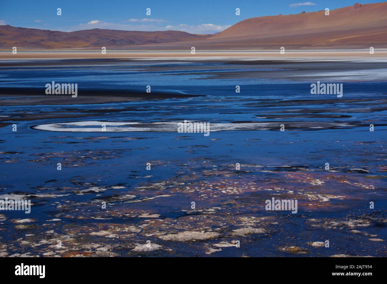 Salar de Tara Salt Lake Stock Photo - Alamy