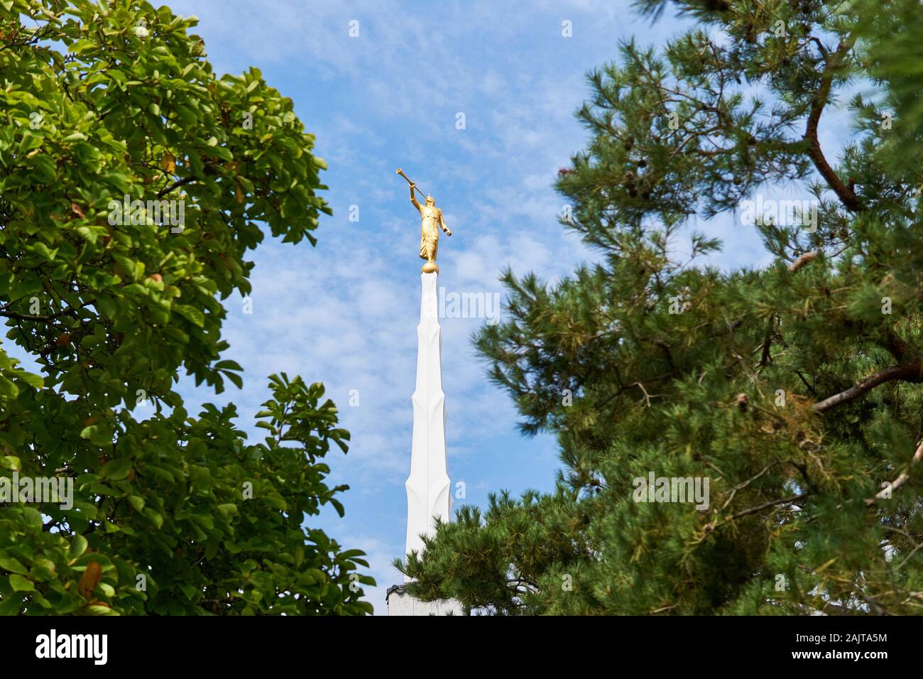 The golden Angel Moroni statue stands on top of a white spire located ...
