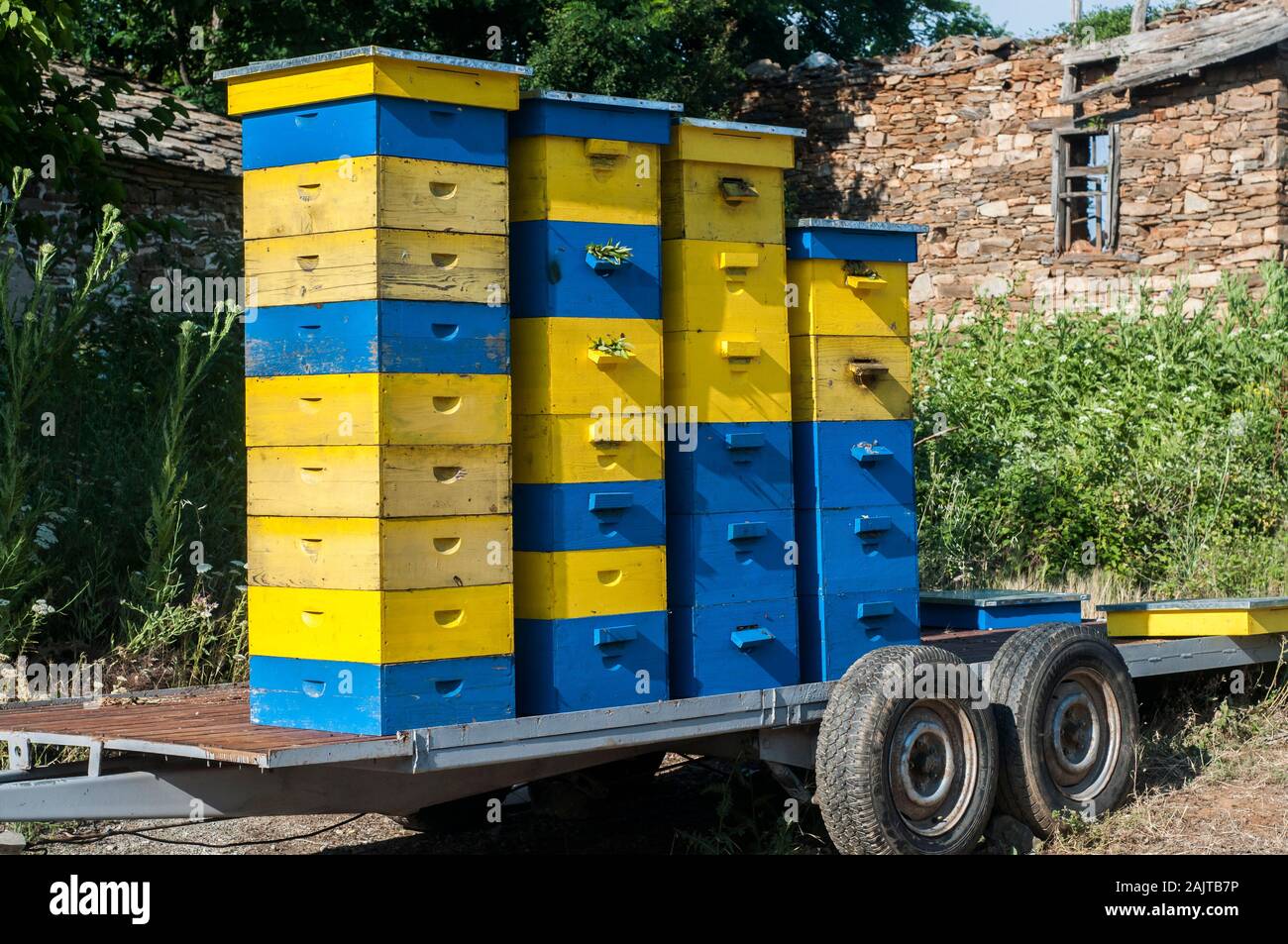 Blue and yellow old used wooden beehives stacked on transport car ...