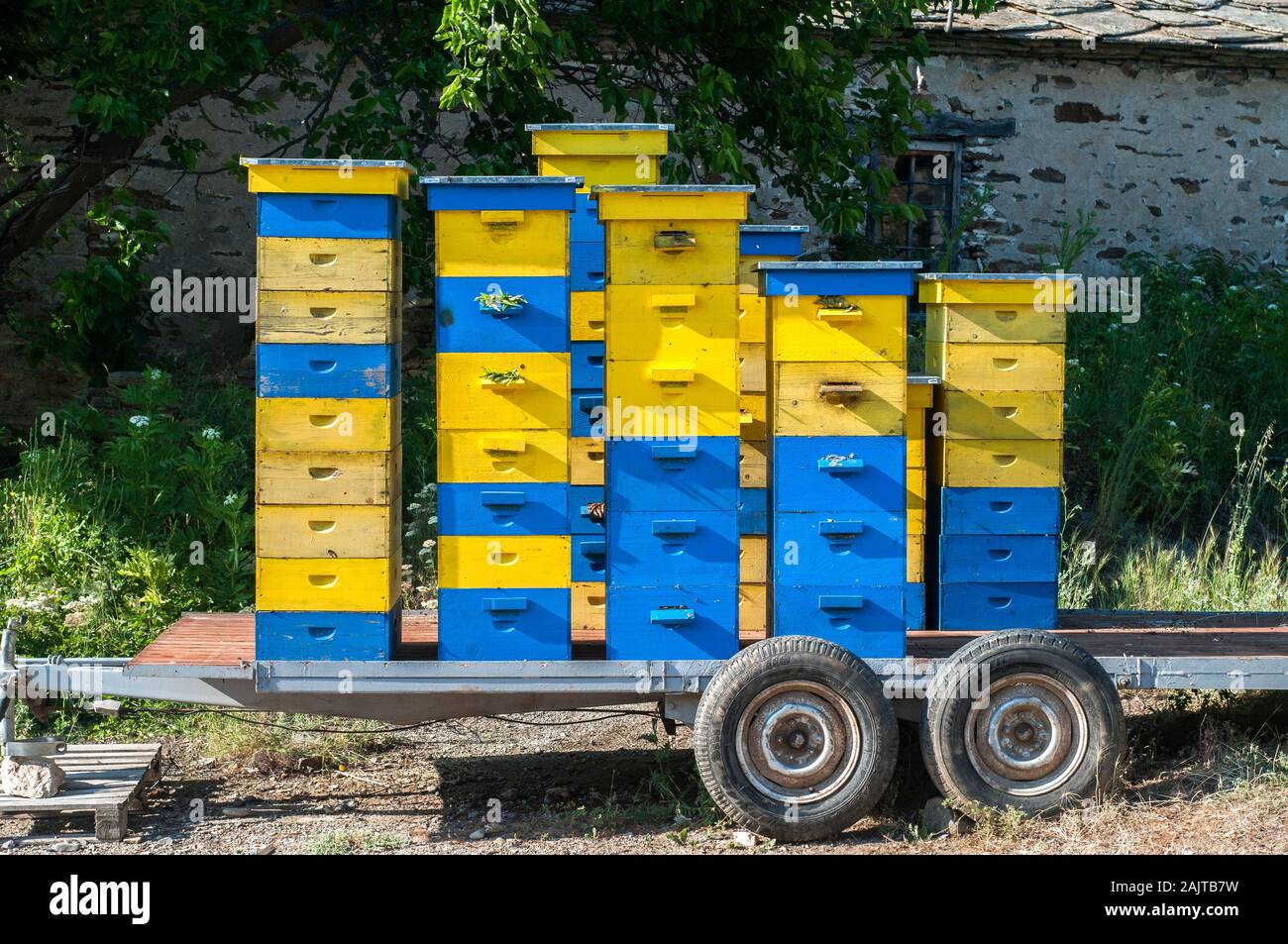 Bee transportation hi-res stock photography and images - Alamy