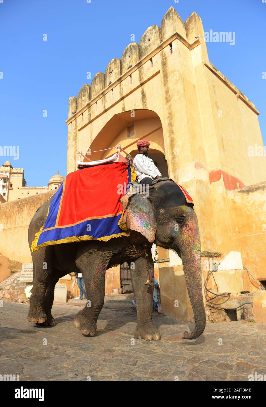 Elephant riding india hi-res stock photography and images - Alamy