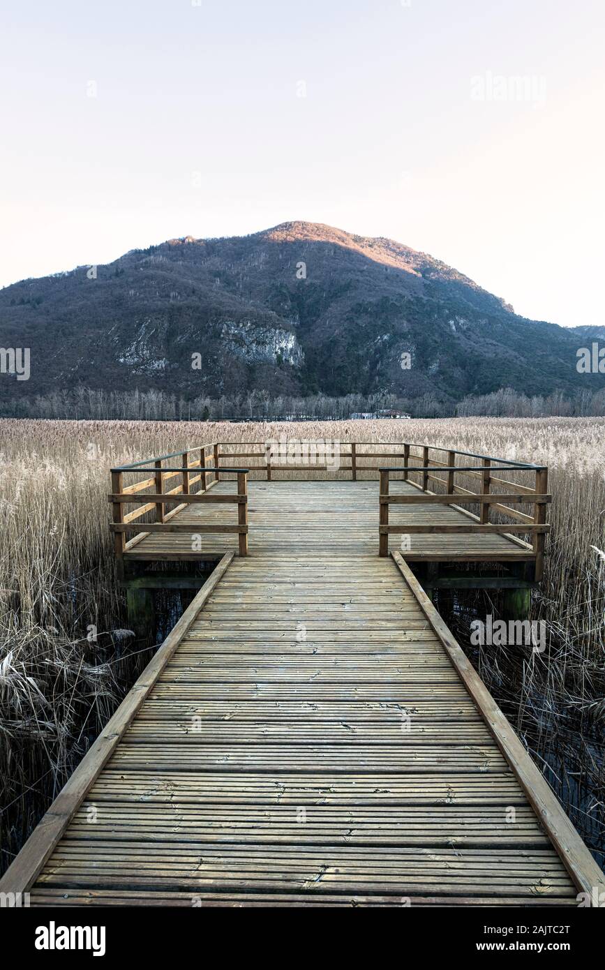 Wooden platform on marsh hi-res stock photography and images - Alamy