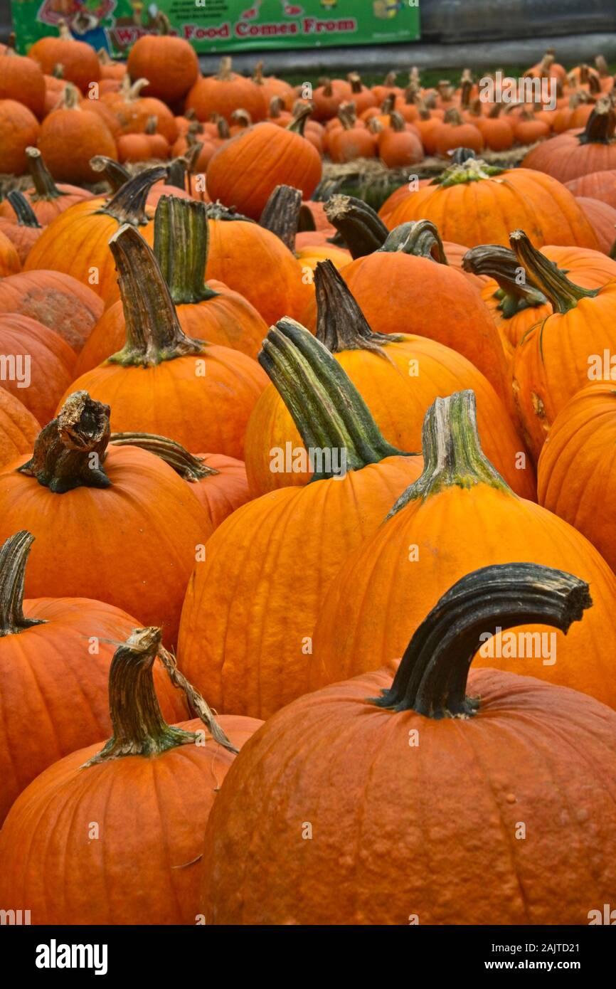 Farmers selection hi-res stock photography and images - Alamy