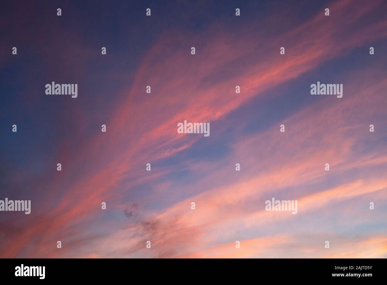 Beauty beautiful delicate hi-res stock photography and images - Alamy
