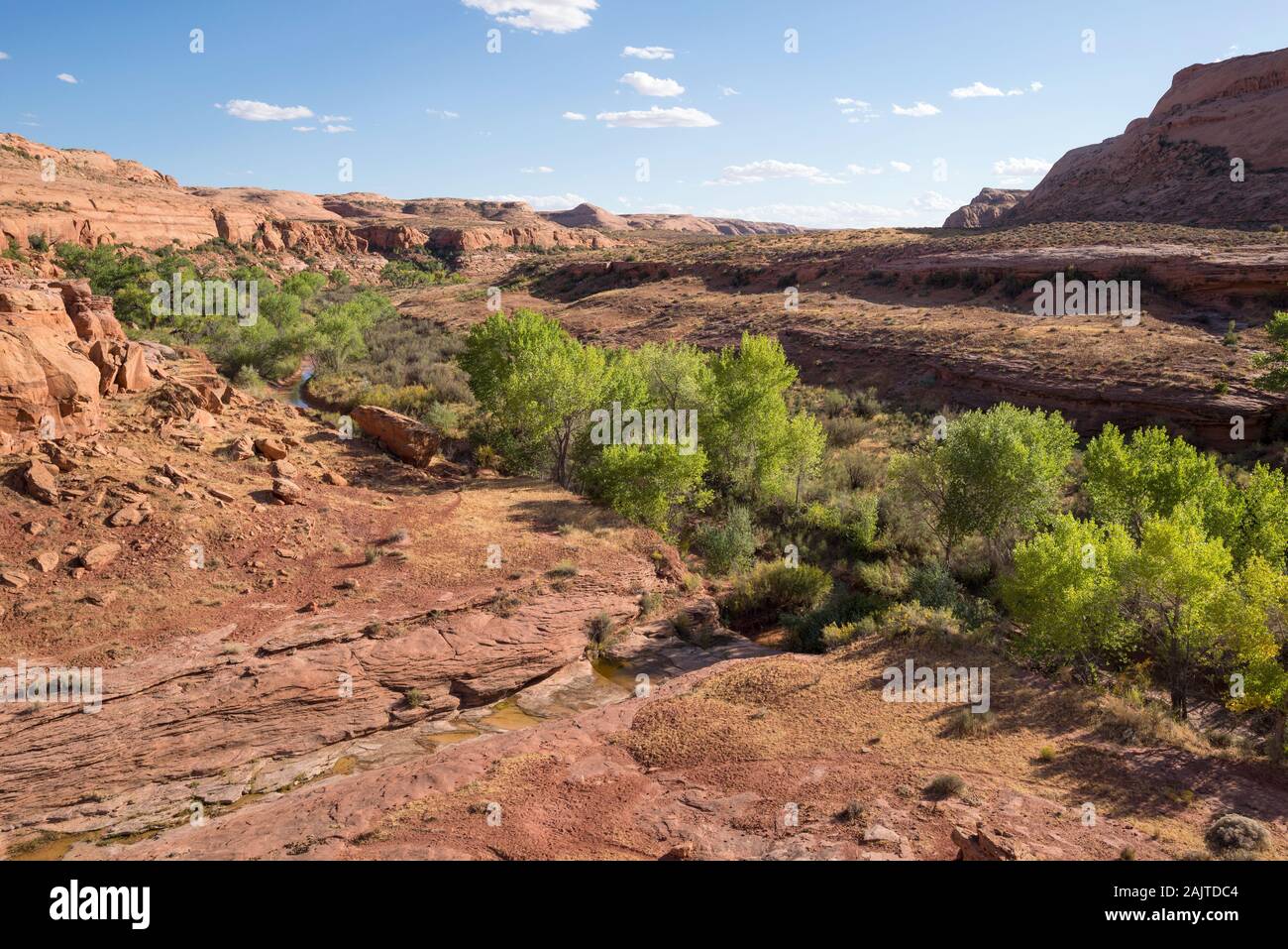 Chinle Wash, Navajo Nation (Utah Stock Photo - Alamy