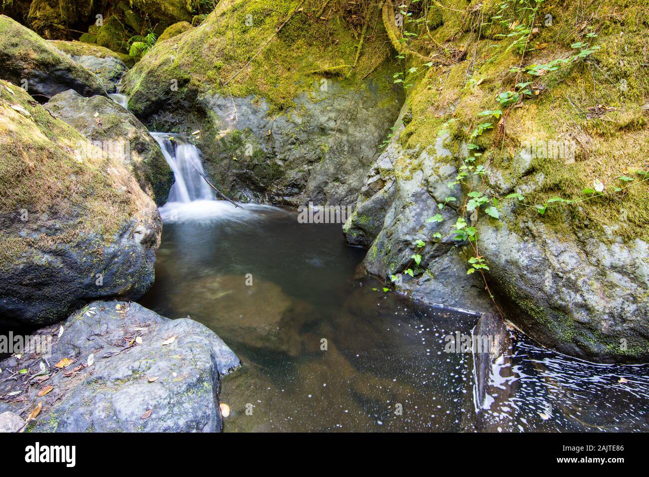 Small california rainforest creek waterfall Stock Photo - Alamy