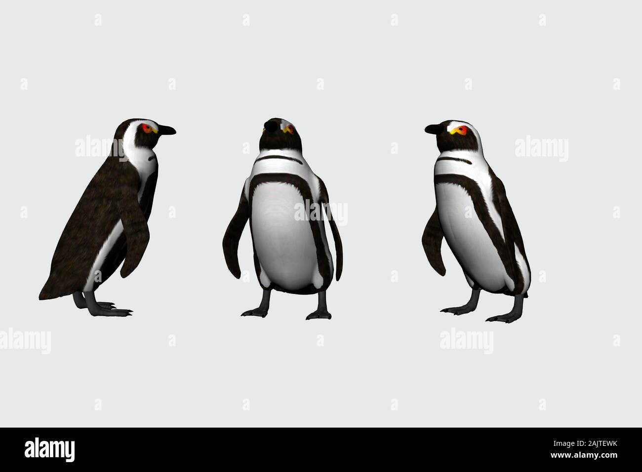 Three penguins isolated over light gray Stock Photo - Alamy