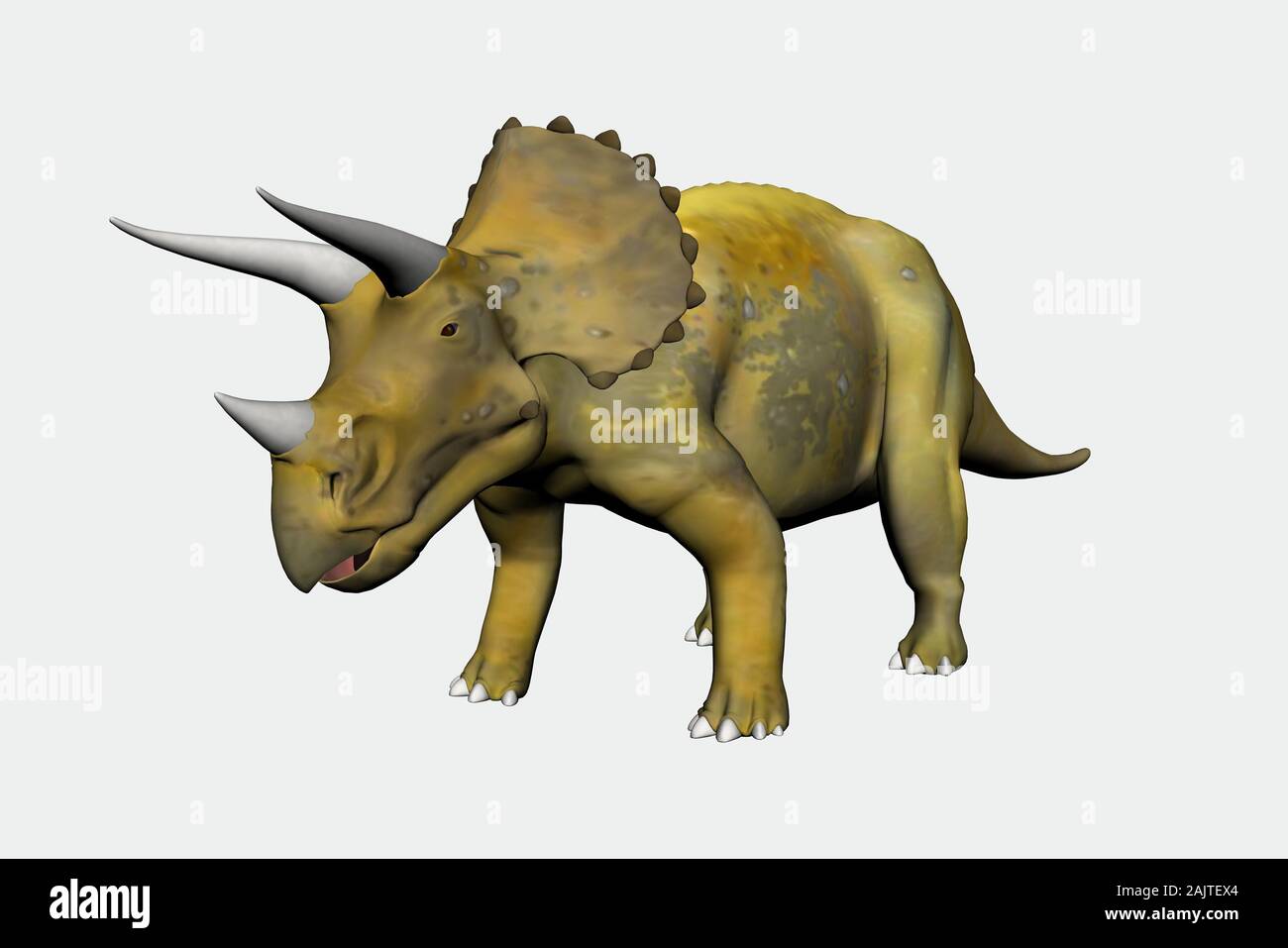 Illustrated Triceratops dinosaur In Late Cretaceous period isolated ...