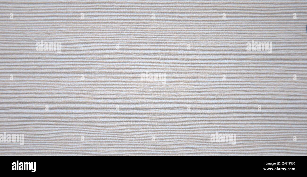 Pine brightened natural pattern with lines on a large section cut ...
