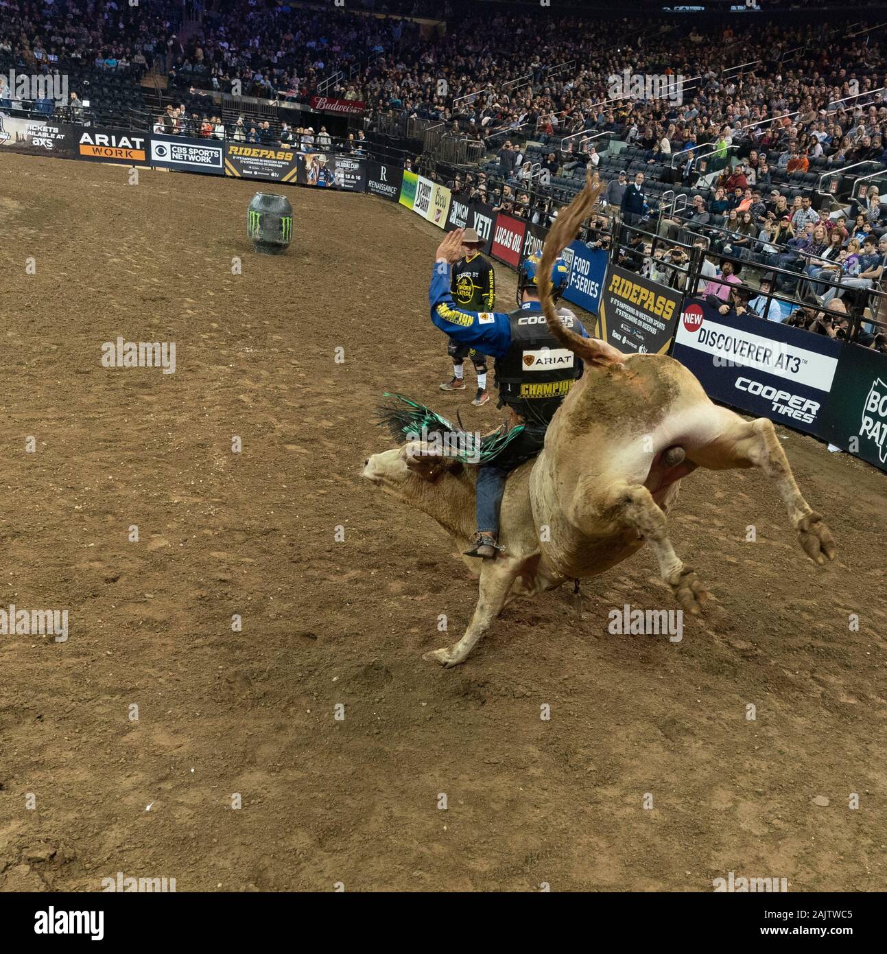 New York, NY - January 5, 2020: Kaique Pacheco rides bull during third ...
