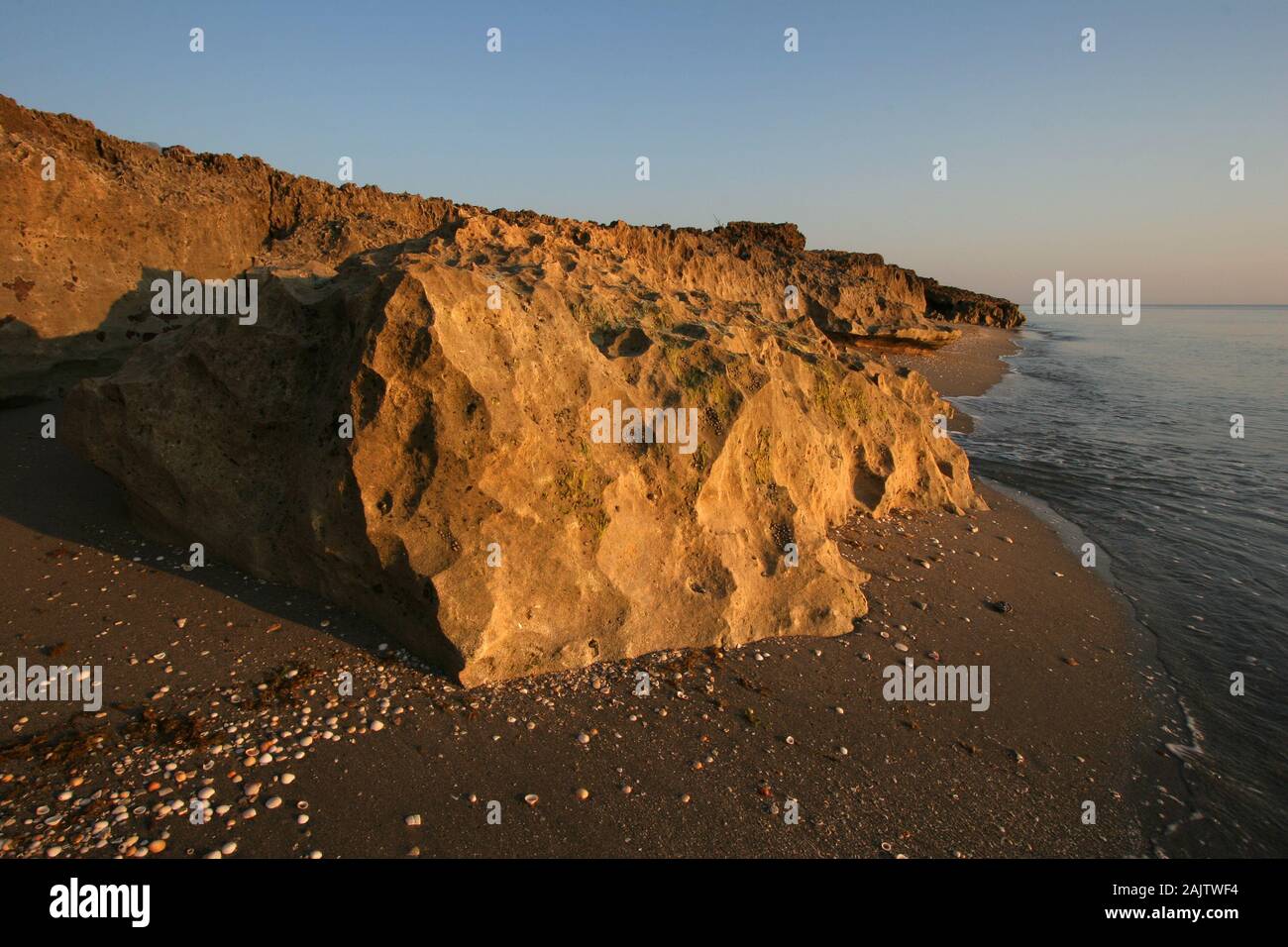 Anastasia limestone outcropping in Blowing Rocks Preserve on Jupiter ...
