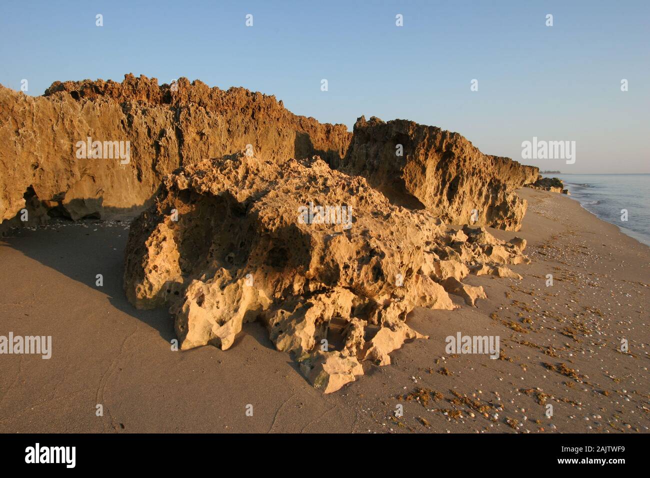 Anastasia limestone outcropping in Blowing Rocks Preserve on Jupiter ...