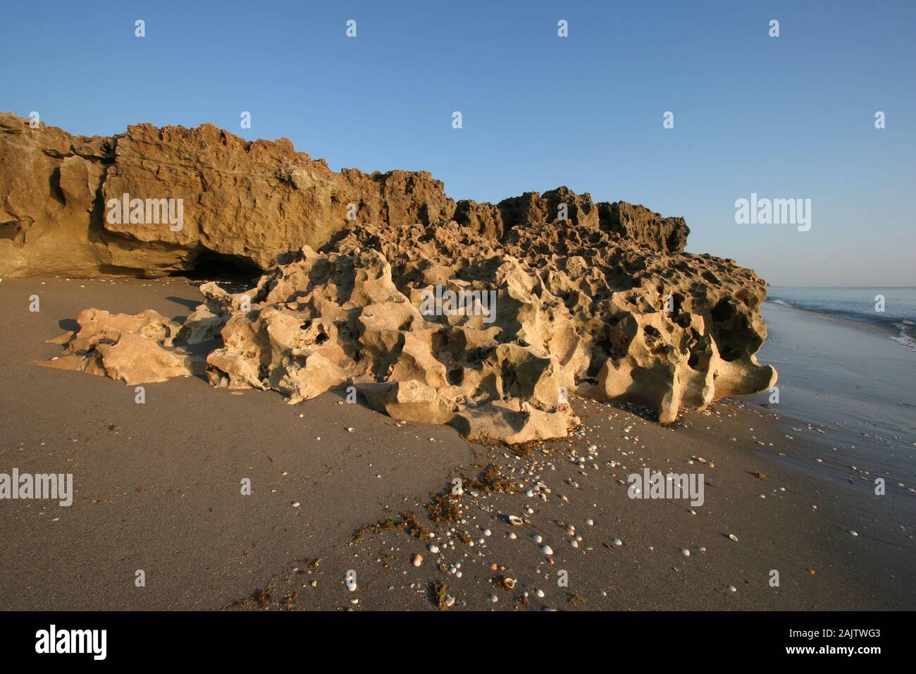Anastasia limestone outcropping in Blowing Rocks Preserve on Jupiter ...