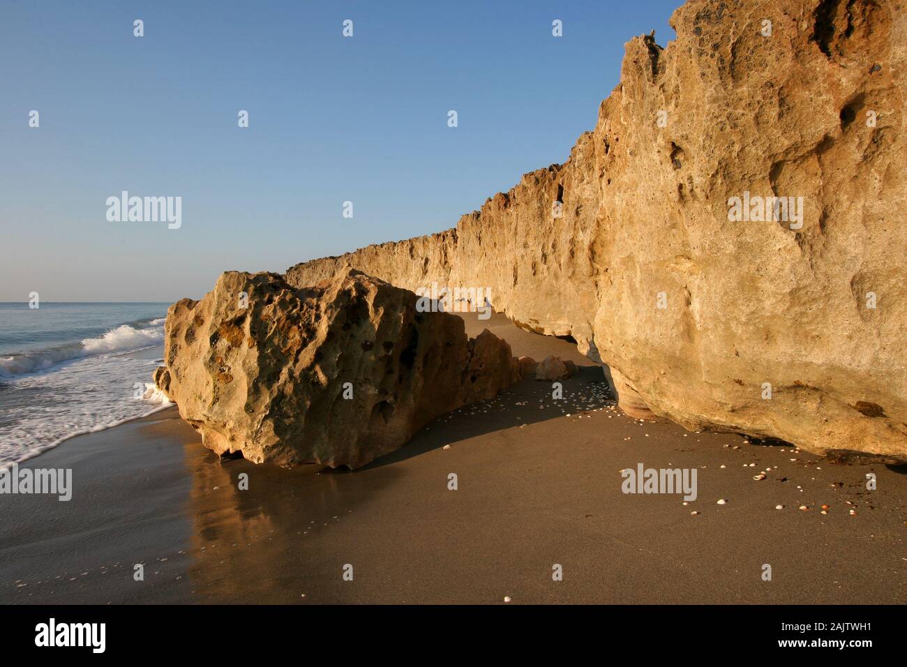 Anastasia limestone outcropping in Blowing Rocks Preserve on Jupiter ...