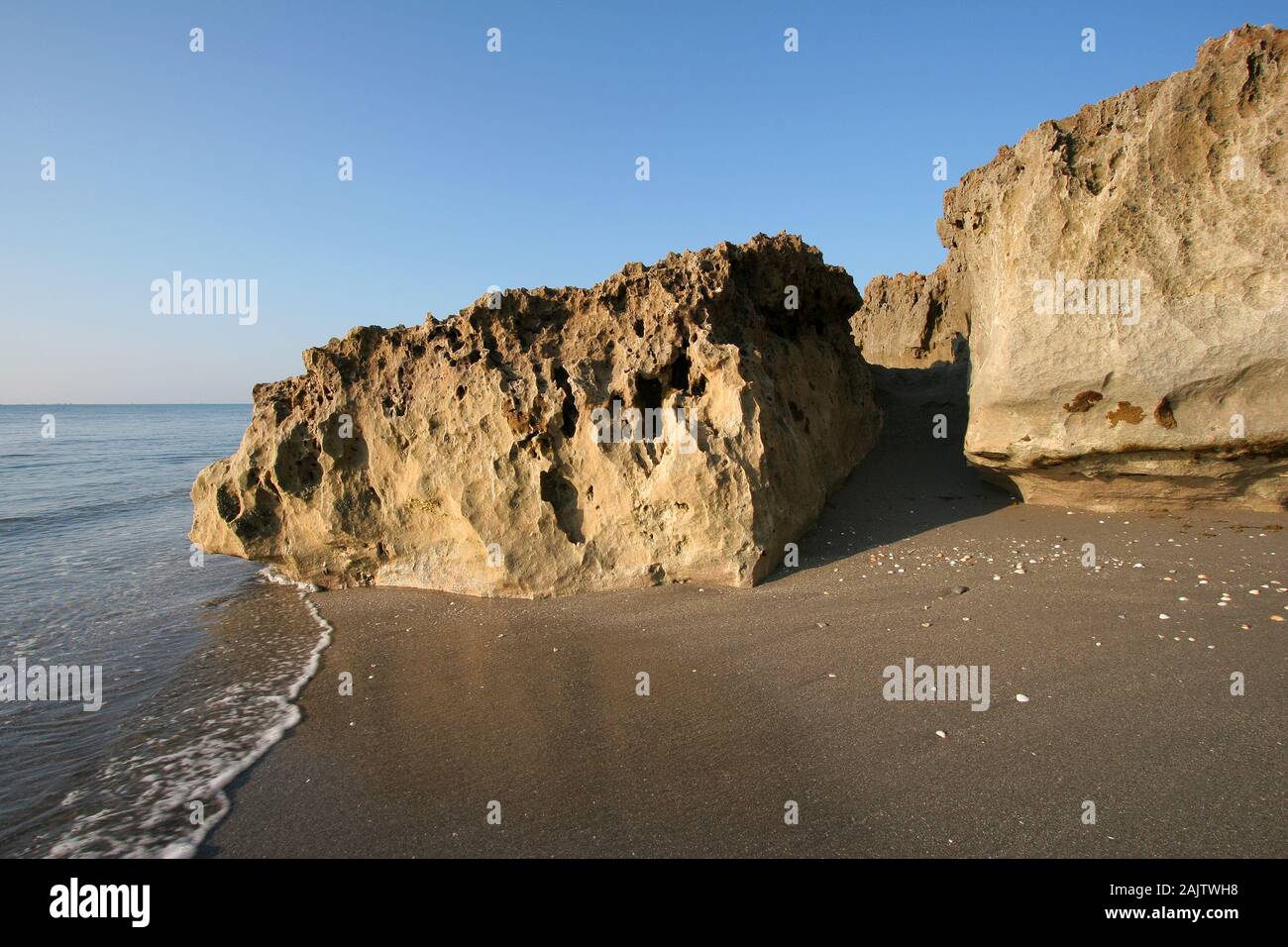 Anastasia limestone outcropping in Blowing Rocks Preserve on Jupiter ...