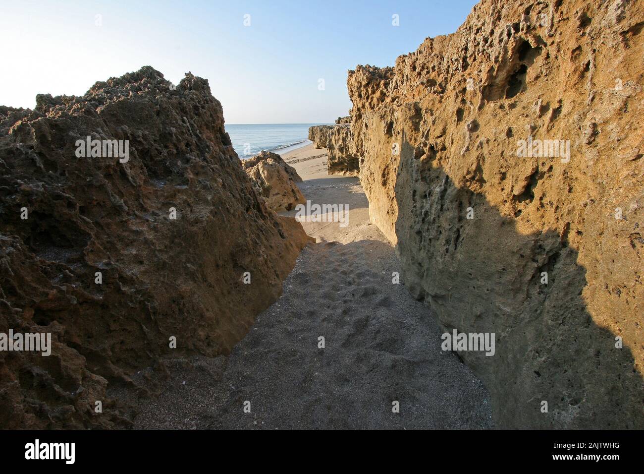 Anastasia limestone outcropping in Blowing Rocks Preserve on Jupiter ...
