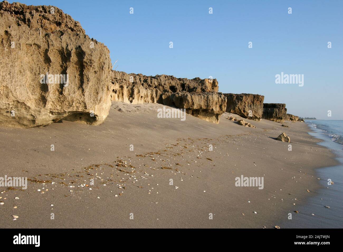 Anastasia limestone outcropping in Blowing Rocks Preserve on Jupiter ...