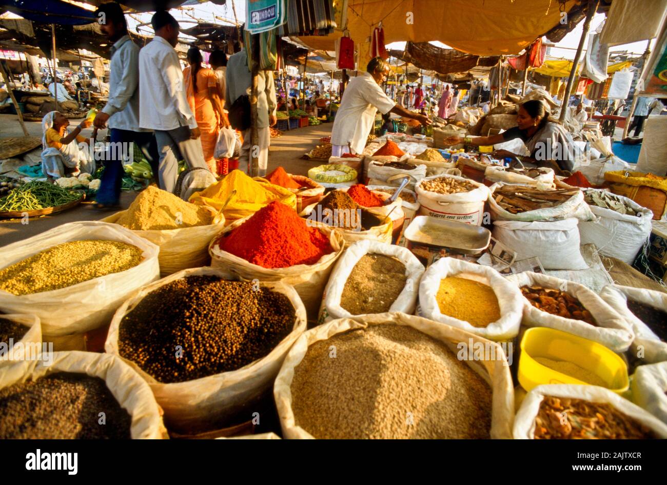 Spices at the local market on the banks of the river Godavari Stock ...