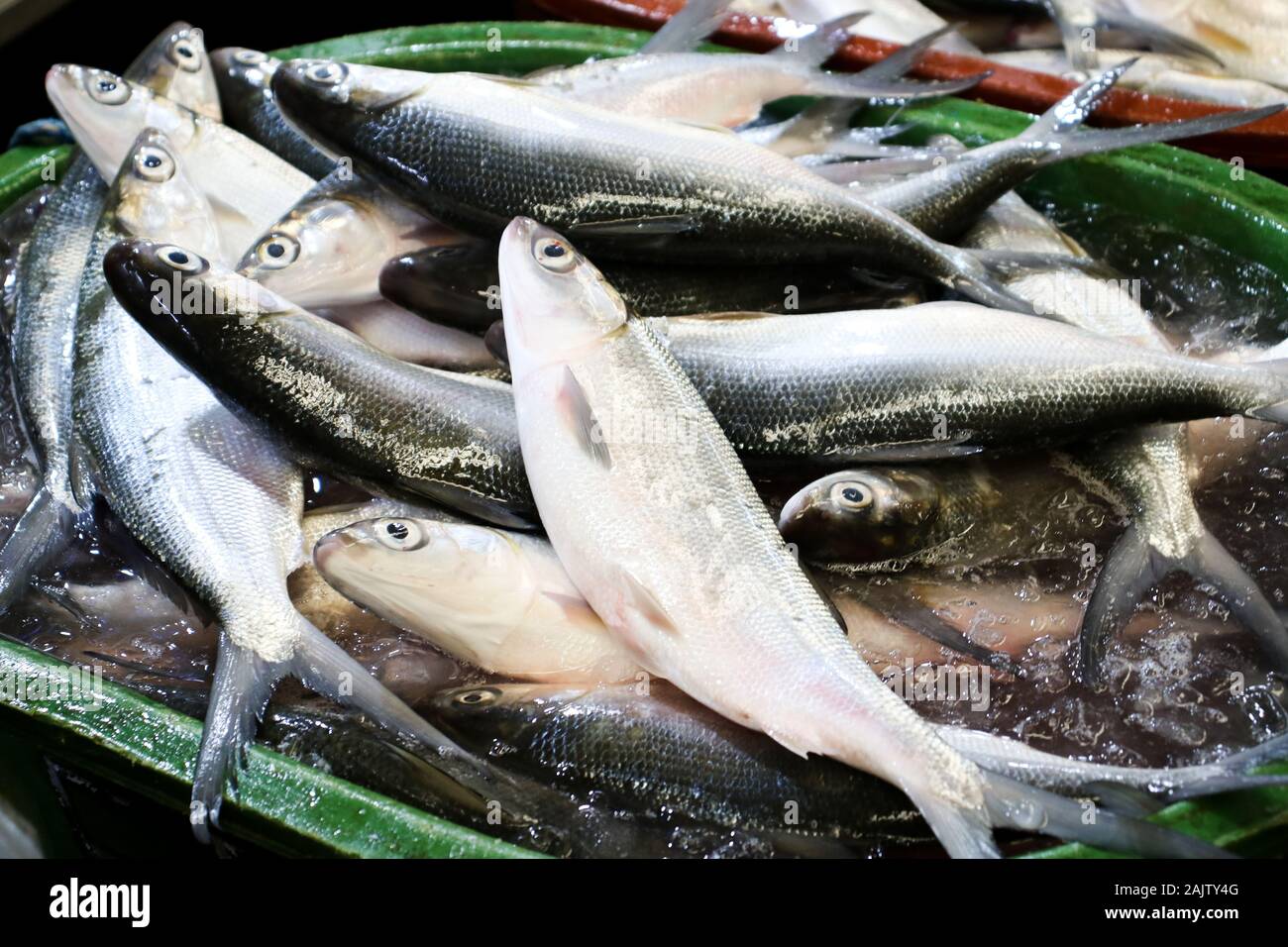 Galunggong fish hi-res stock photography and images - Alamy