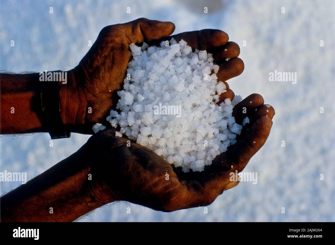 Maliya hi-res stock photography and images - Alamy