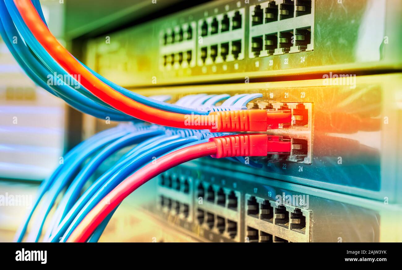 blue and red network cables connected to switch in data center Stock ...