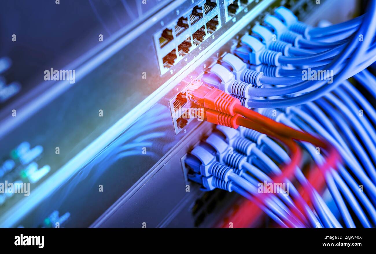 blue and red network cables connected to switch in data center Stock ...