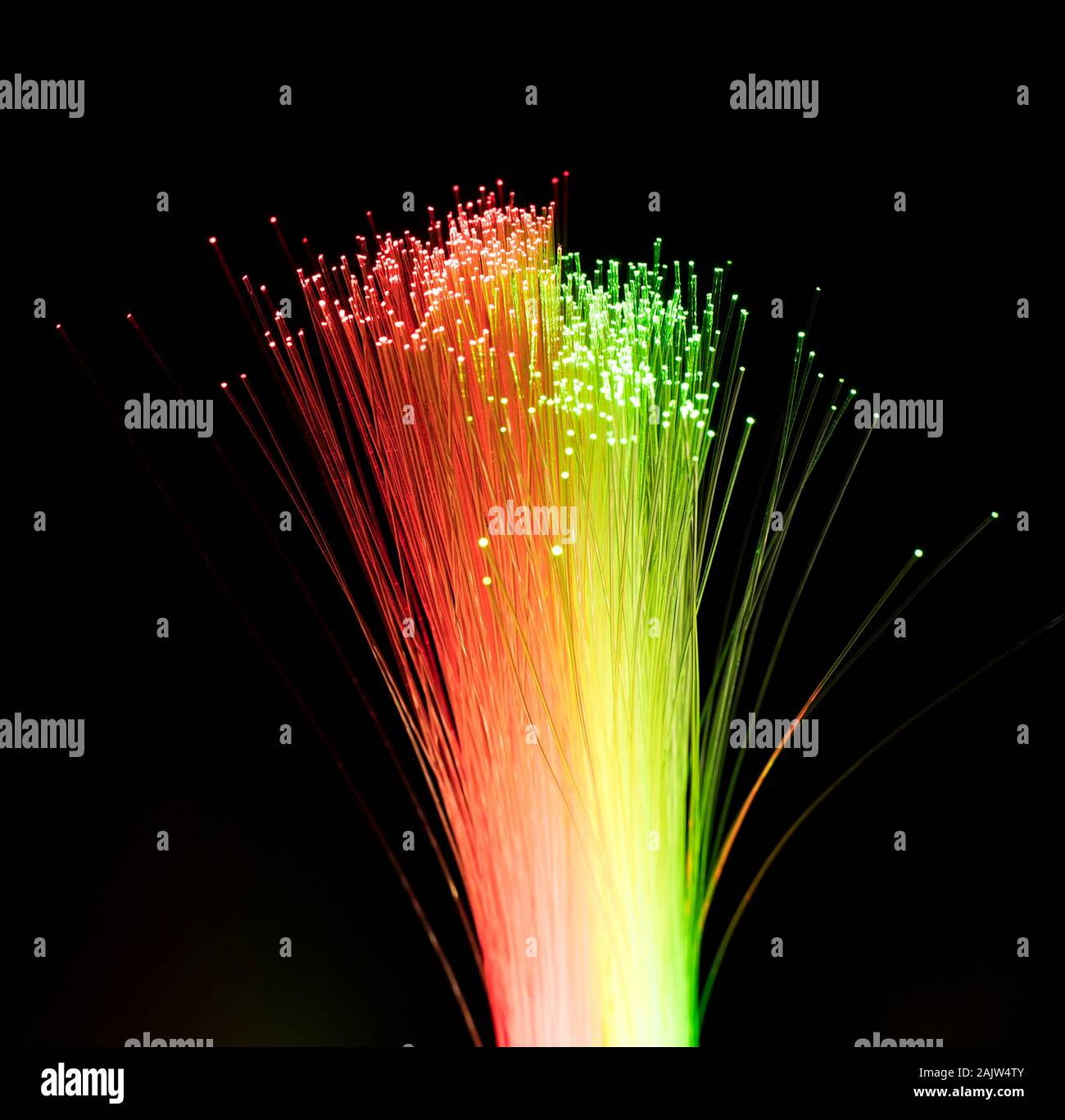fiber optical network cable Stock Photo - Alamy