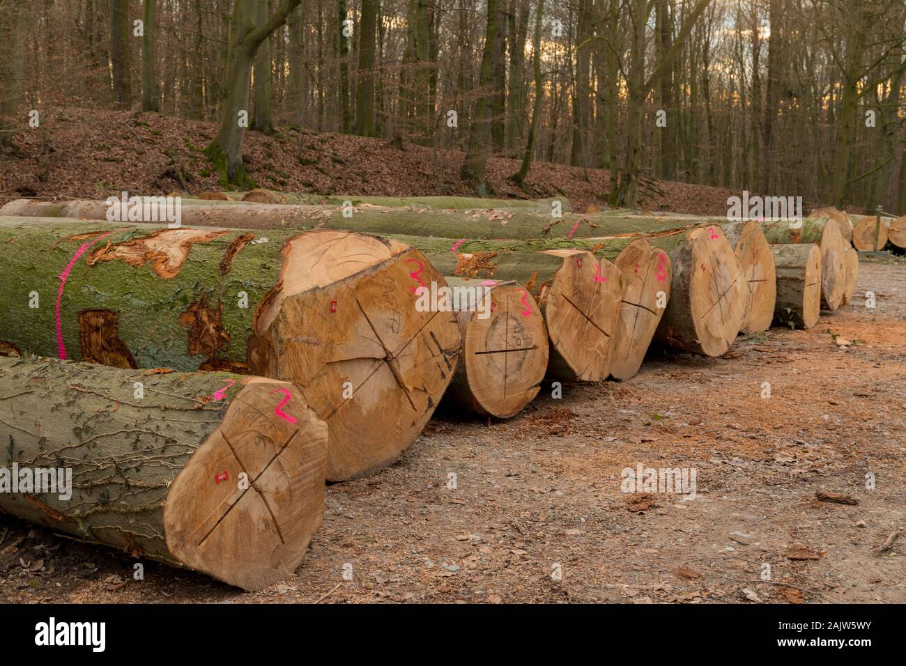 Fell on floor hi-res stock photography and images - Alamy