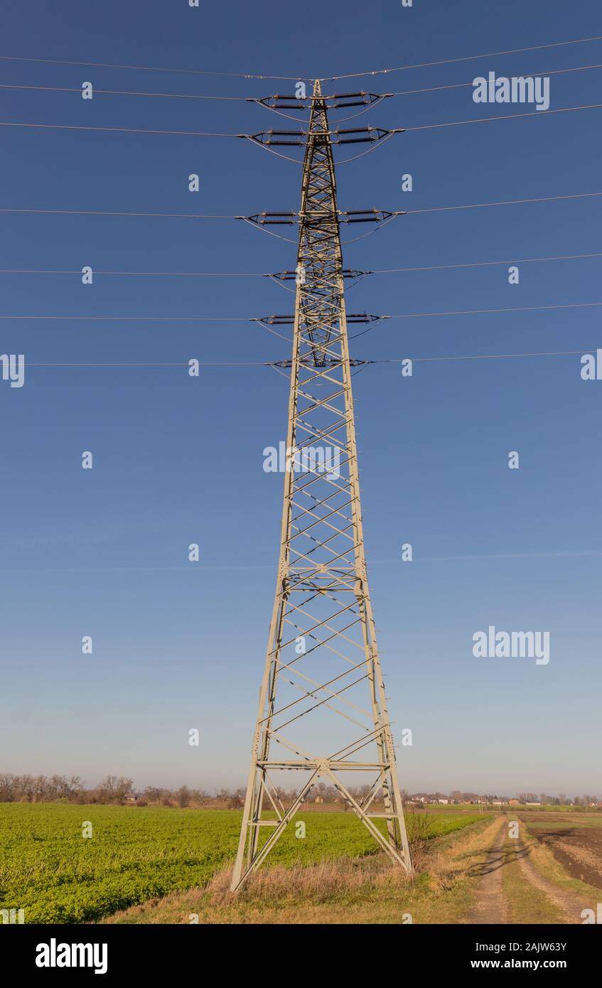 Long power pole with power lines on a field with blue sky Stock Photo ...