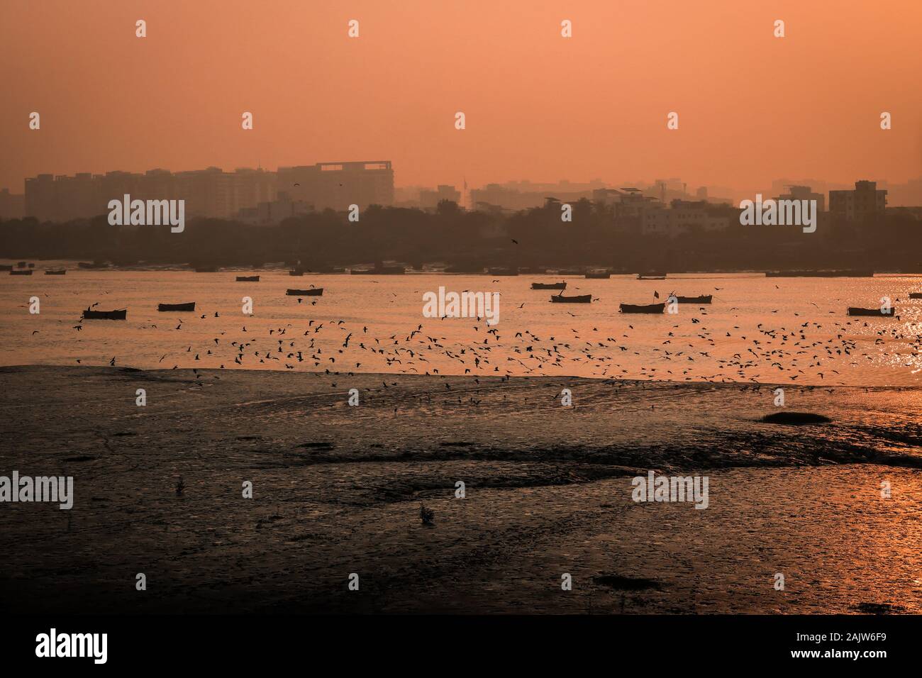 Surat city hi-res stock photography and images - Alamy