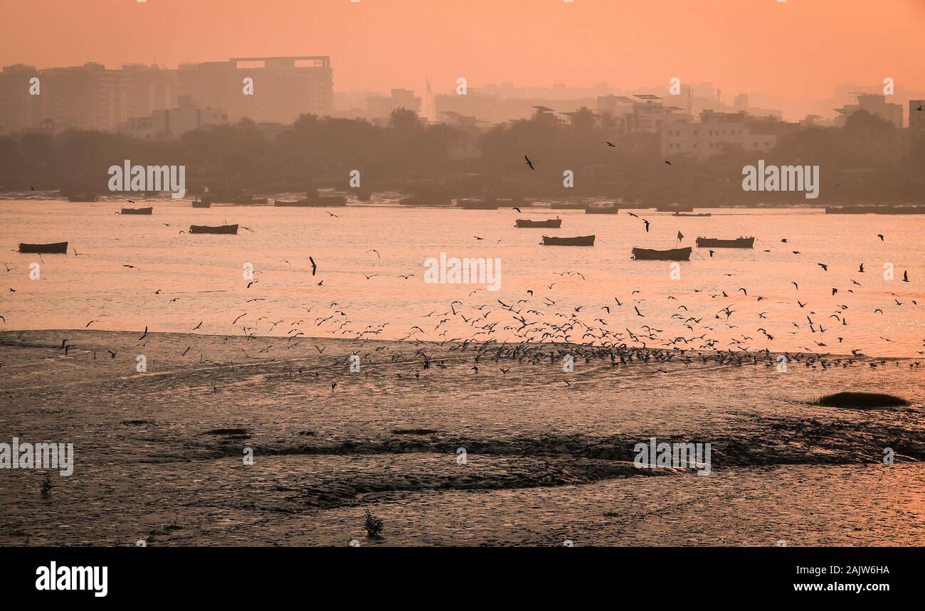 Surat city hi-res stock photography and images - Alamy