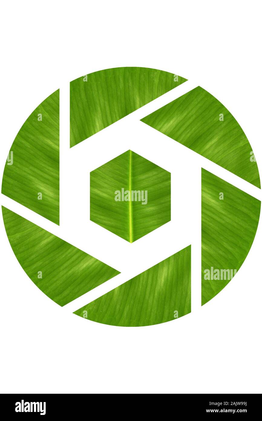 shutter leaf shape Stock Photo - Alamy