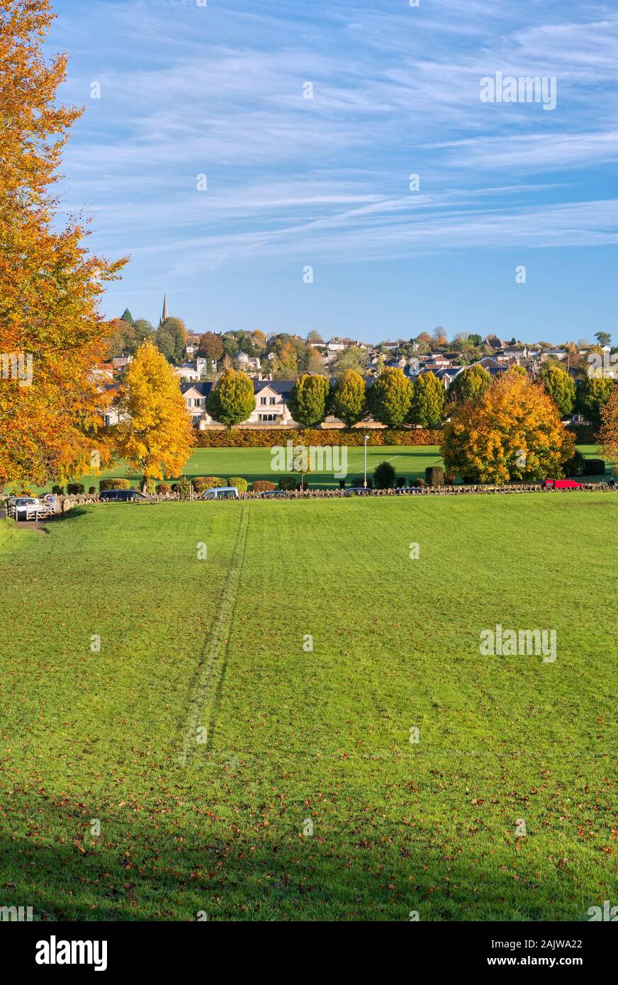 Robin sat under a tree Stock Photo - Alamy