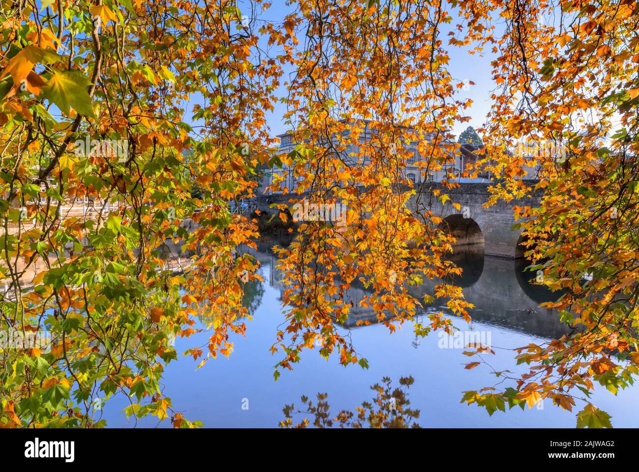 Sat on tree hi-res stock photography and images - Alamy