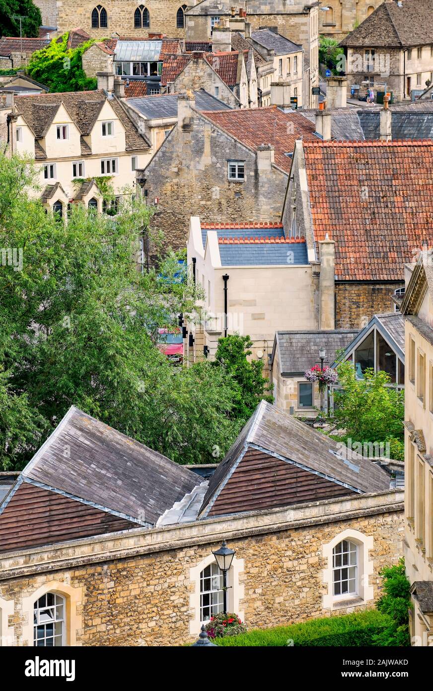 Robin sat under a tree hi-res stock photography and images - Alamy