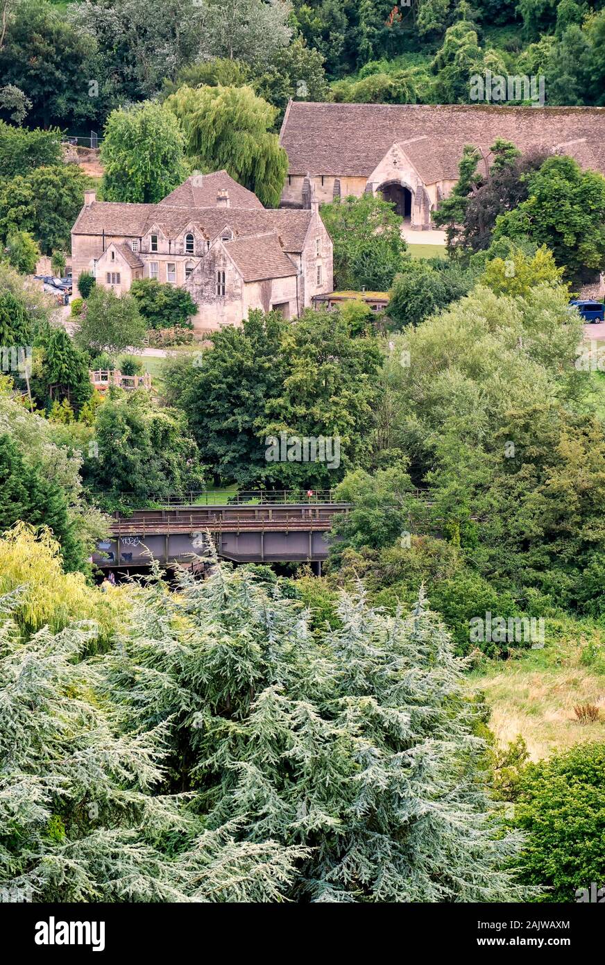 Robin sat under a tree hi-res stock photography and images - Alamy
