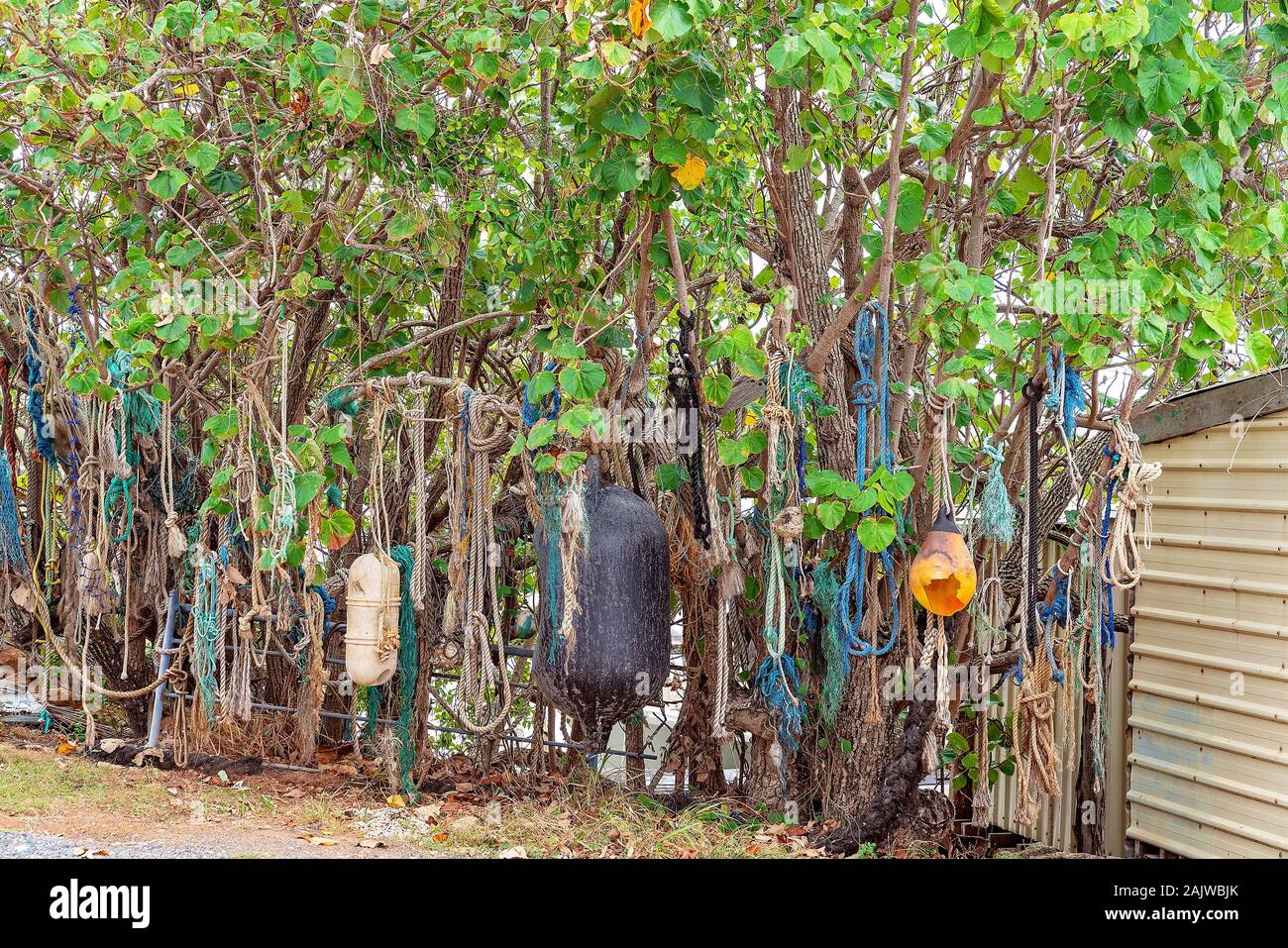 Ropes, nets and other maritime equipment hanging from tree branches ...