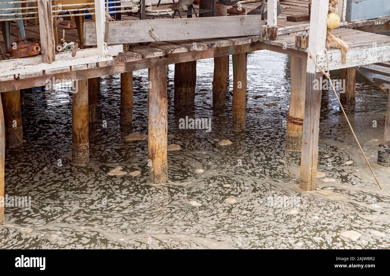 Foamy water swirling around the pylons of an old timber jetty full of ...