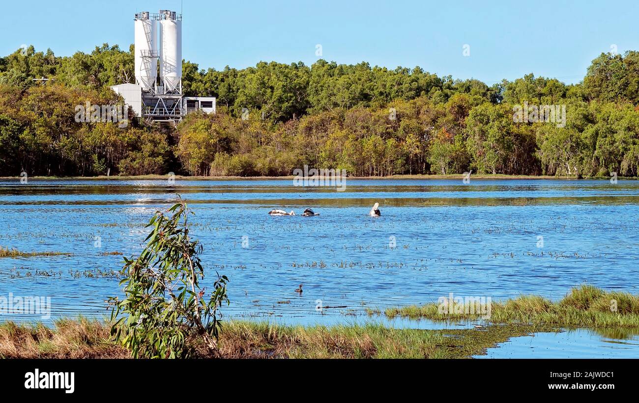 A wetland ecosystem typically flooded by water with abundant bird and ...