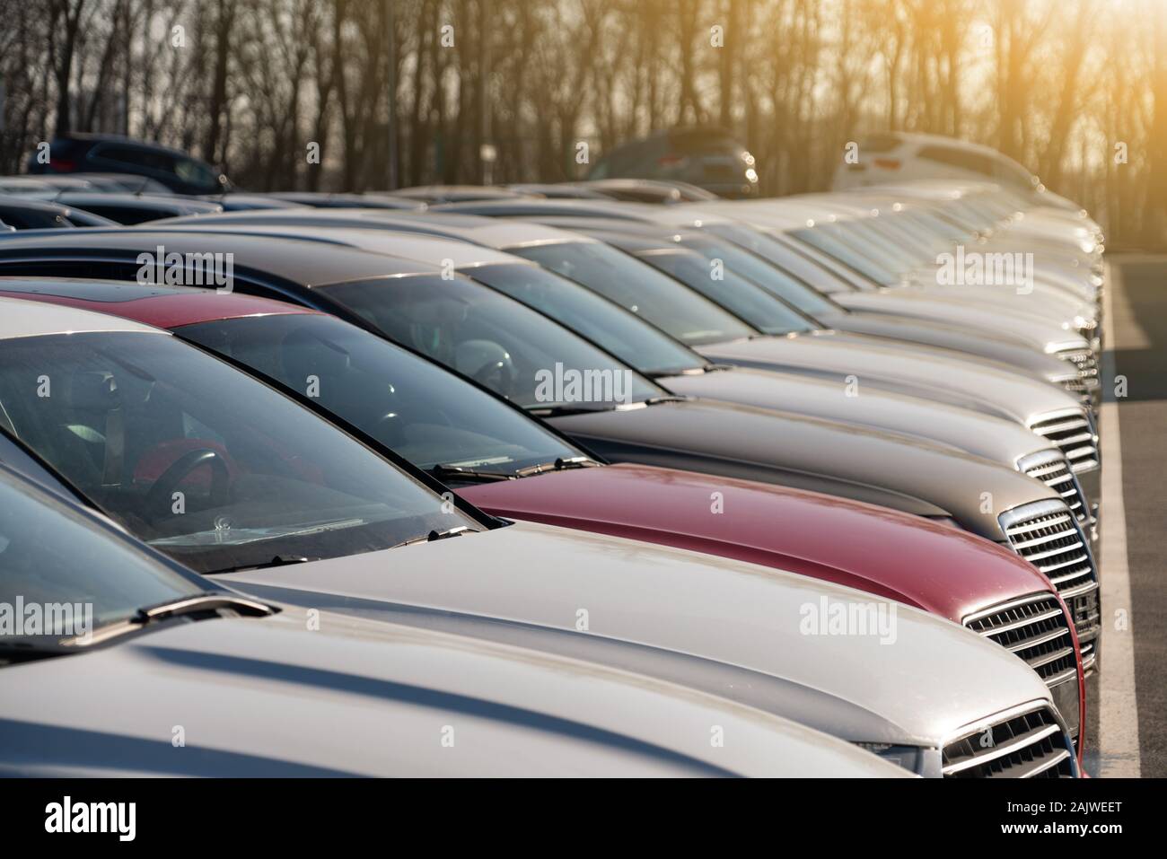 Cars in a rows. Used car sales Stock Photo - Alamy