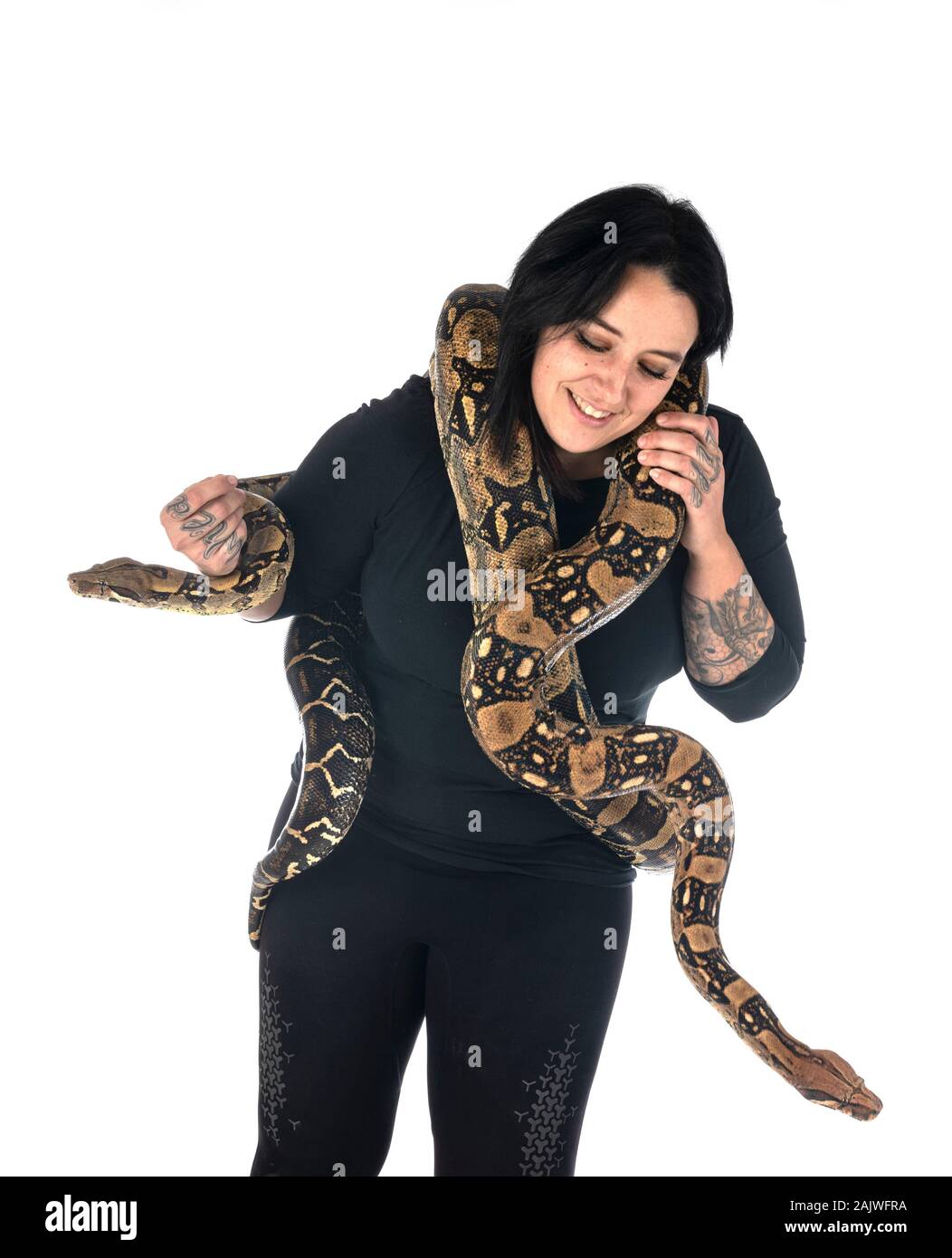 Boa imperator in front of white background Stock Photo - Alamy