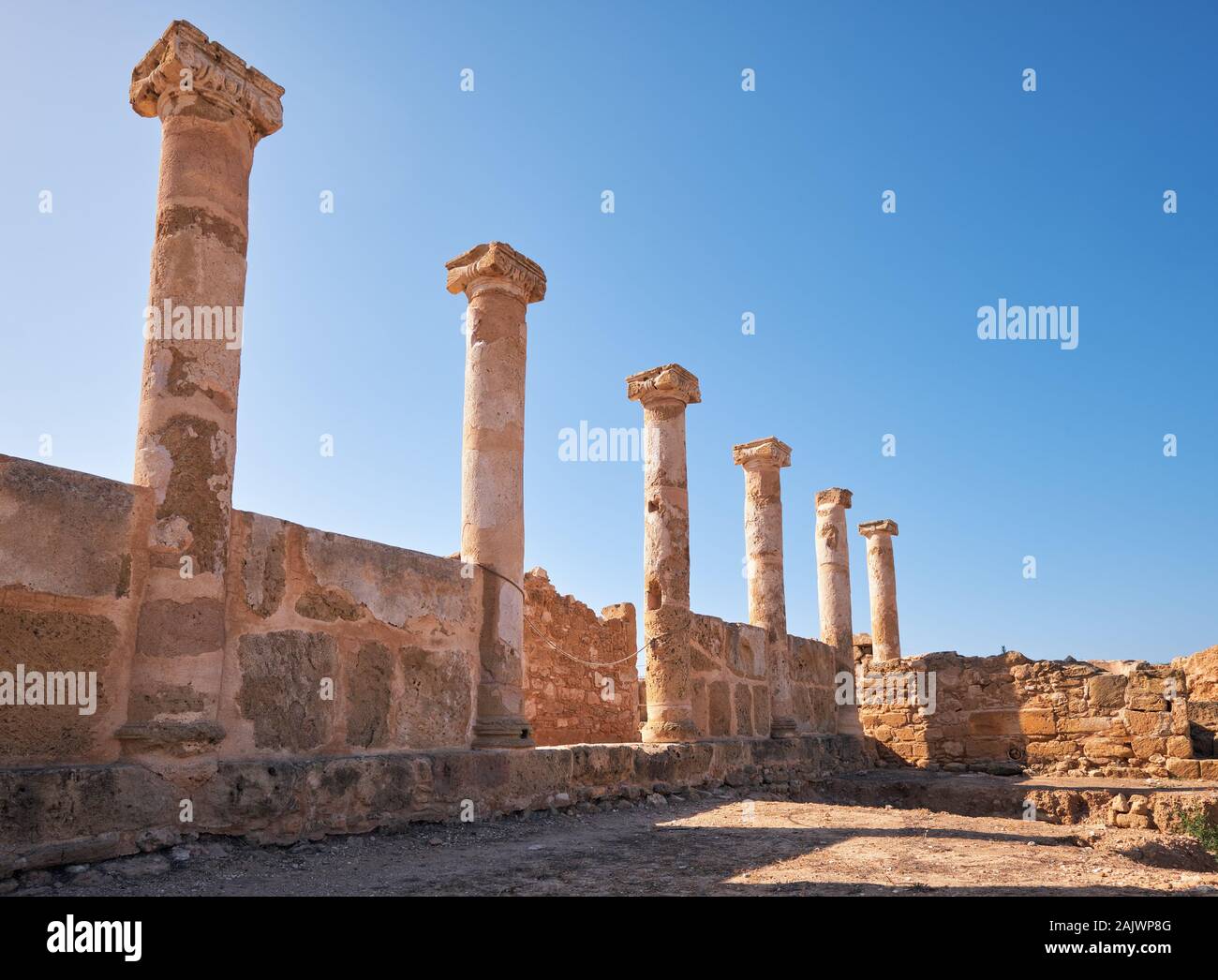 Row of well preserved ionic Roman pillars of House of Theseus. Paphos ...