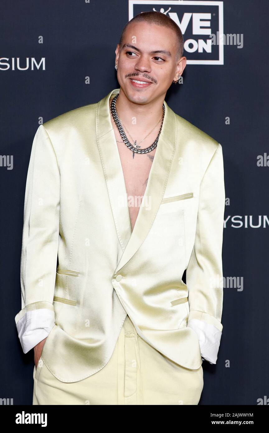Los Angeles, USA. 04th Jan, 2020. Evan Ross at the 13th Art of Elysium ...
