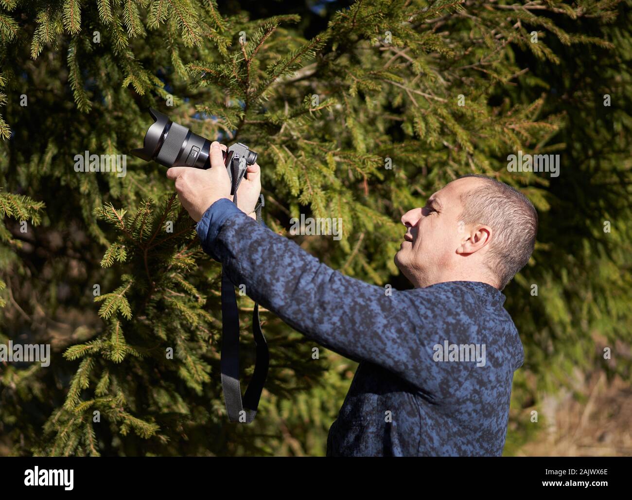 Photographer shooting a macro scene outdoor in the forest Stock Photo ...