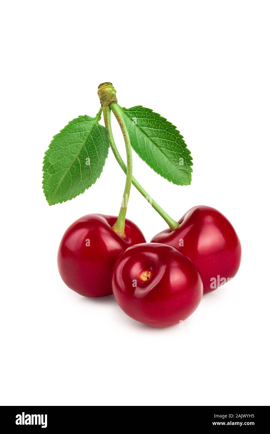 Three cherries with leaf closeup isolated on white background Stock ...