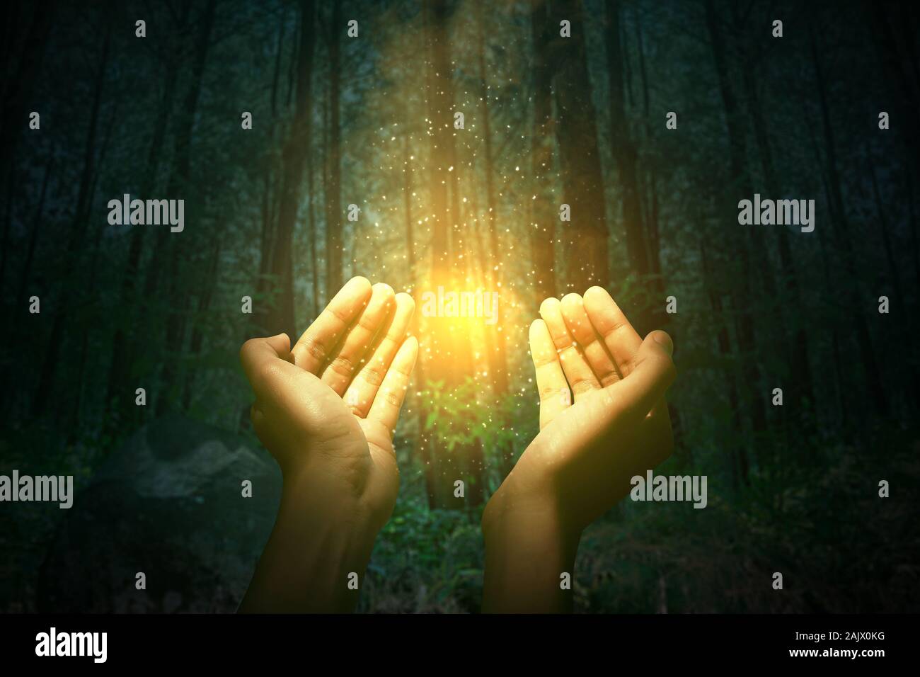 Human hands with magic twinkles on the dark forest Stock Photo - Alamy