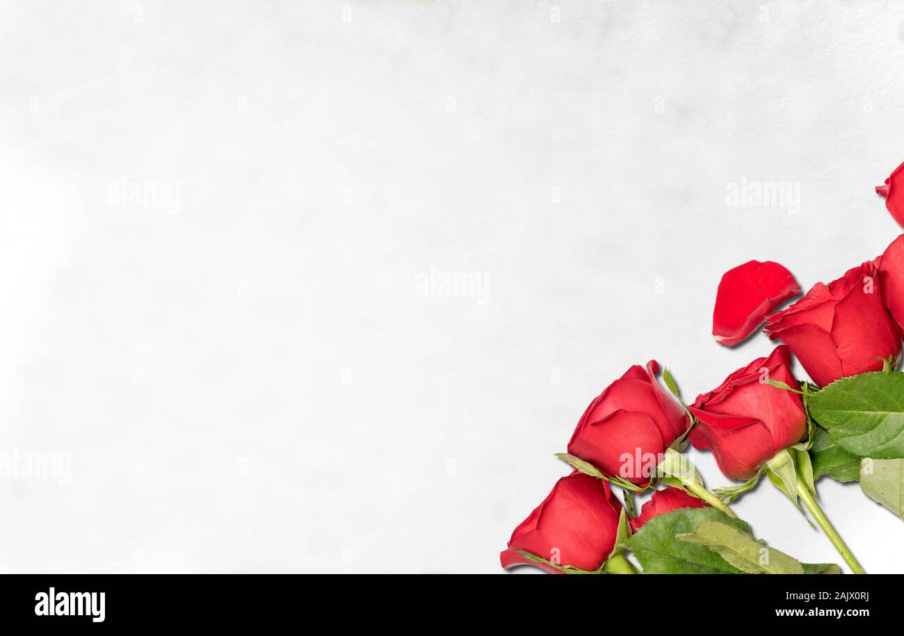 Red roses on floor hi-res stock photography and images - Alamy