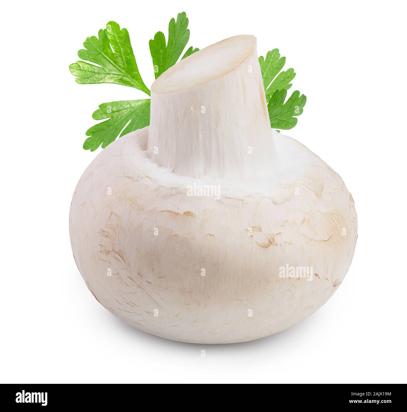 Fresh mushroom champignon isolated on white background with clipping ...