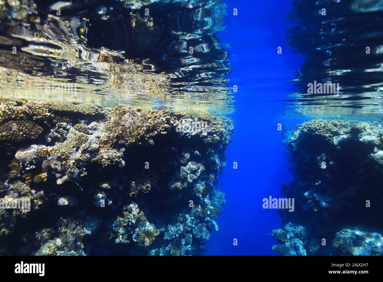 Dropoff dive hi-res stock photography and images - Alamy