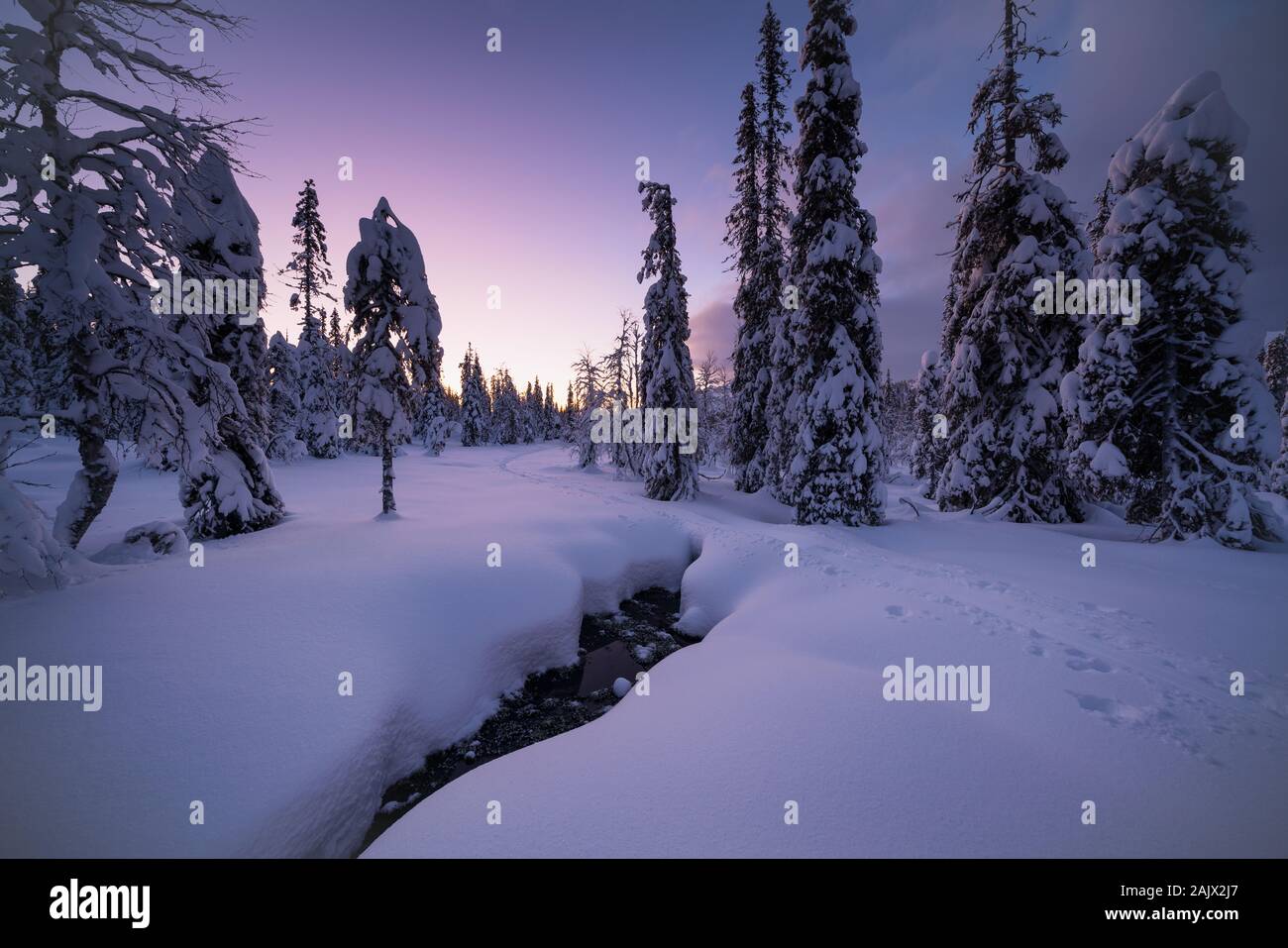 Ski touring in Muonio, Lapland, Finland Stock Photo - Alamy